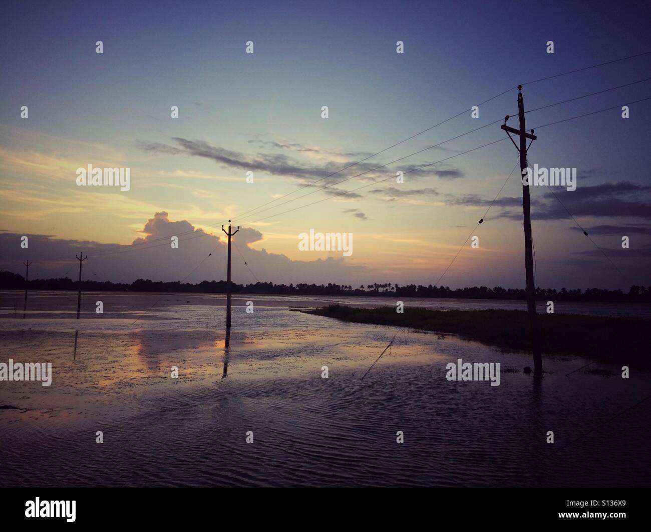 Paddy field in kerala hi-res stock photography and images - Alamy