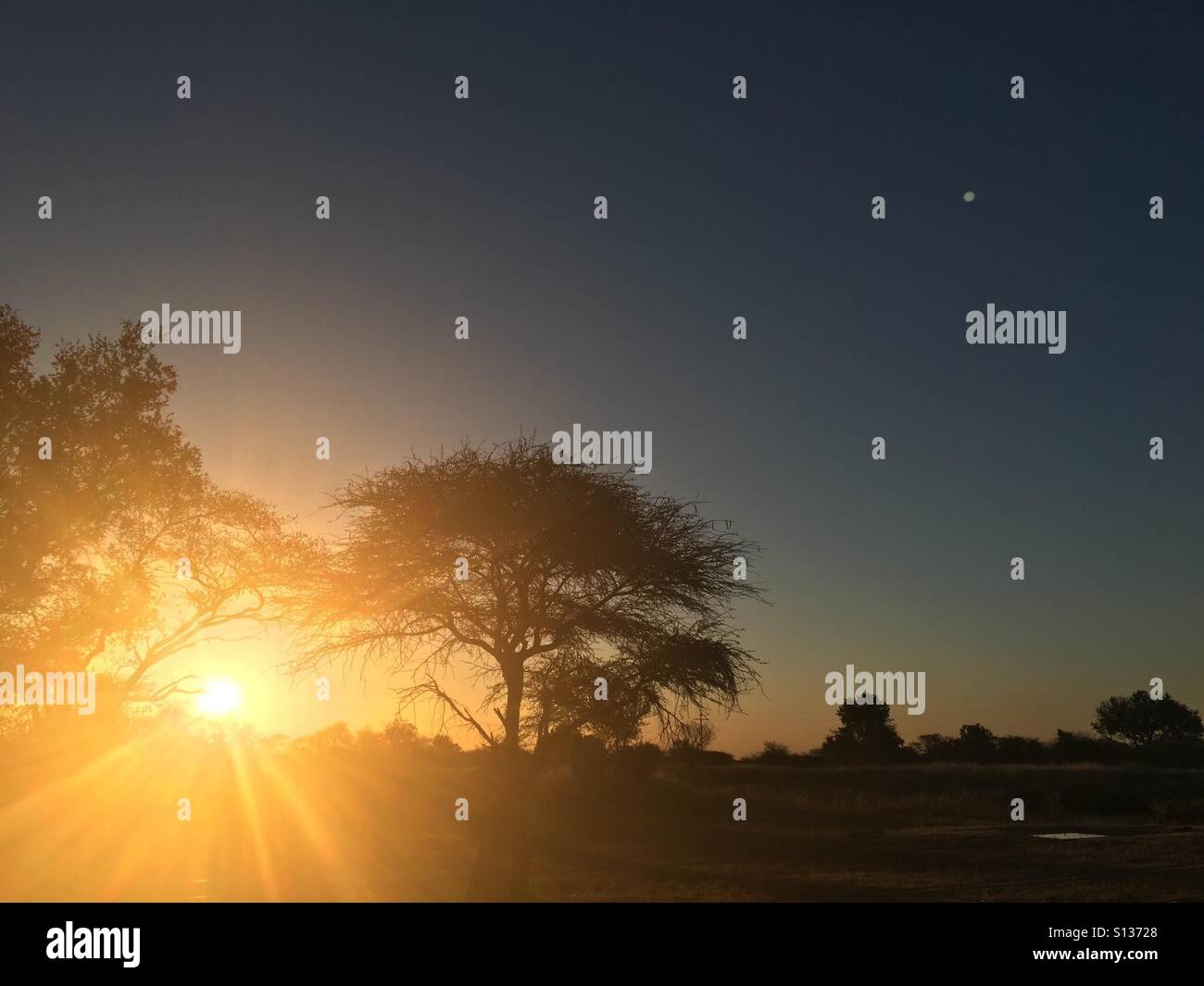 Highveld winter hi-res stock photography and images - Alamy