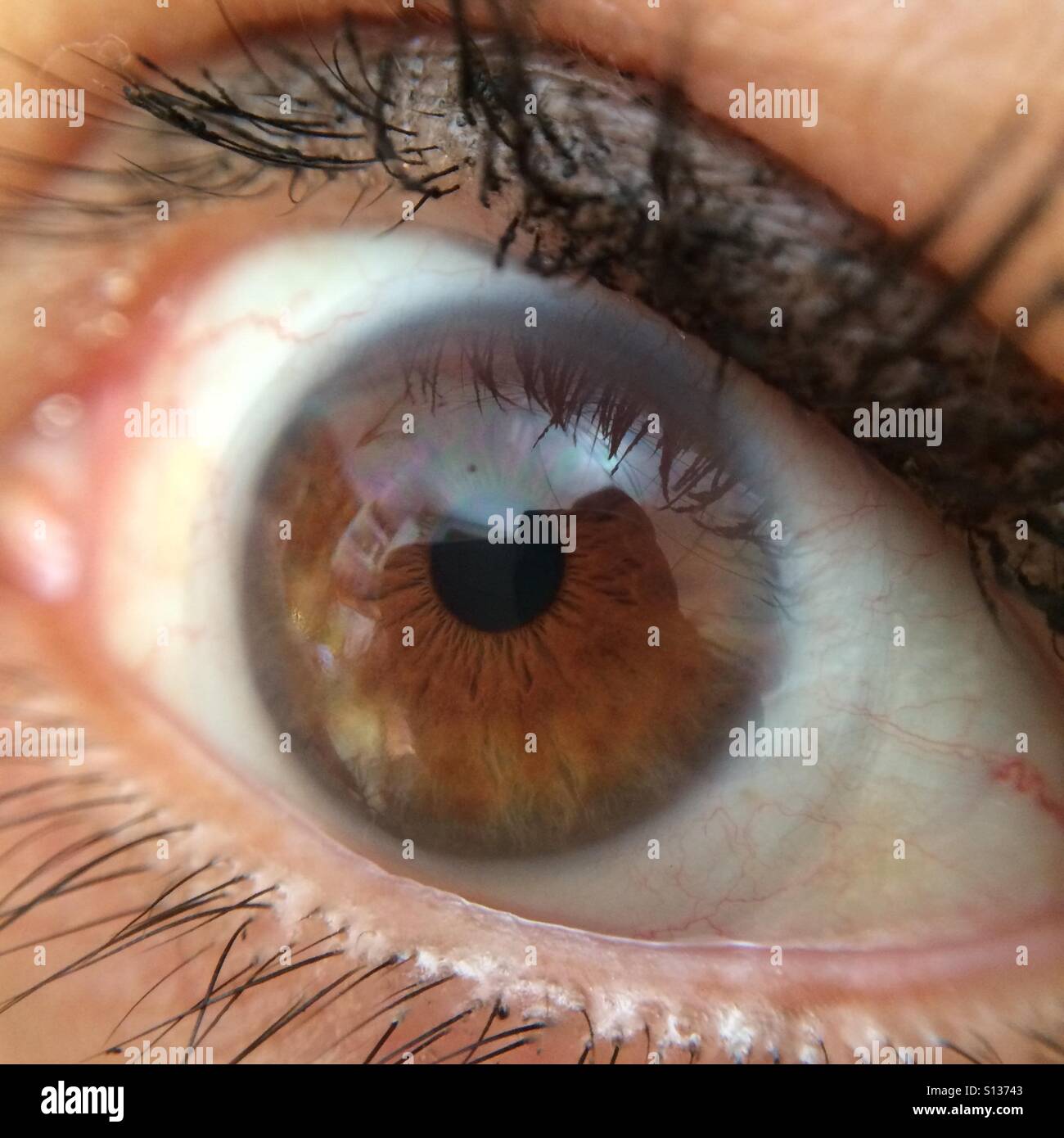 Eye - close up Stock Photo - Alamy