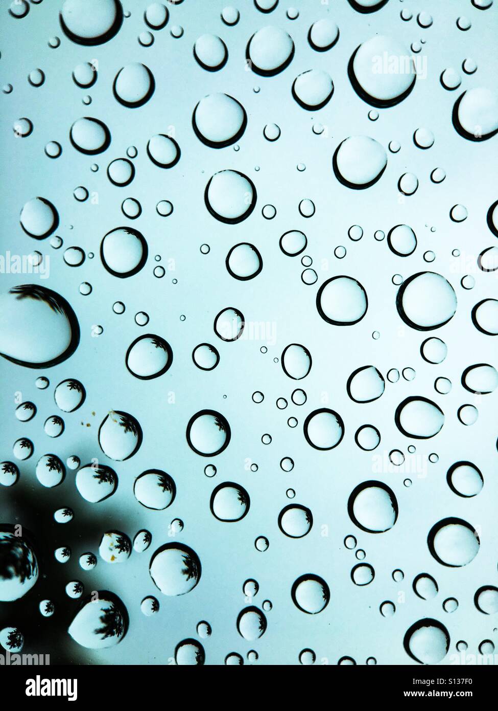 Drip rain hi-res stock photography and images - Alamy