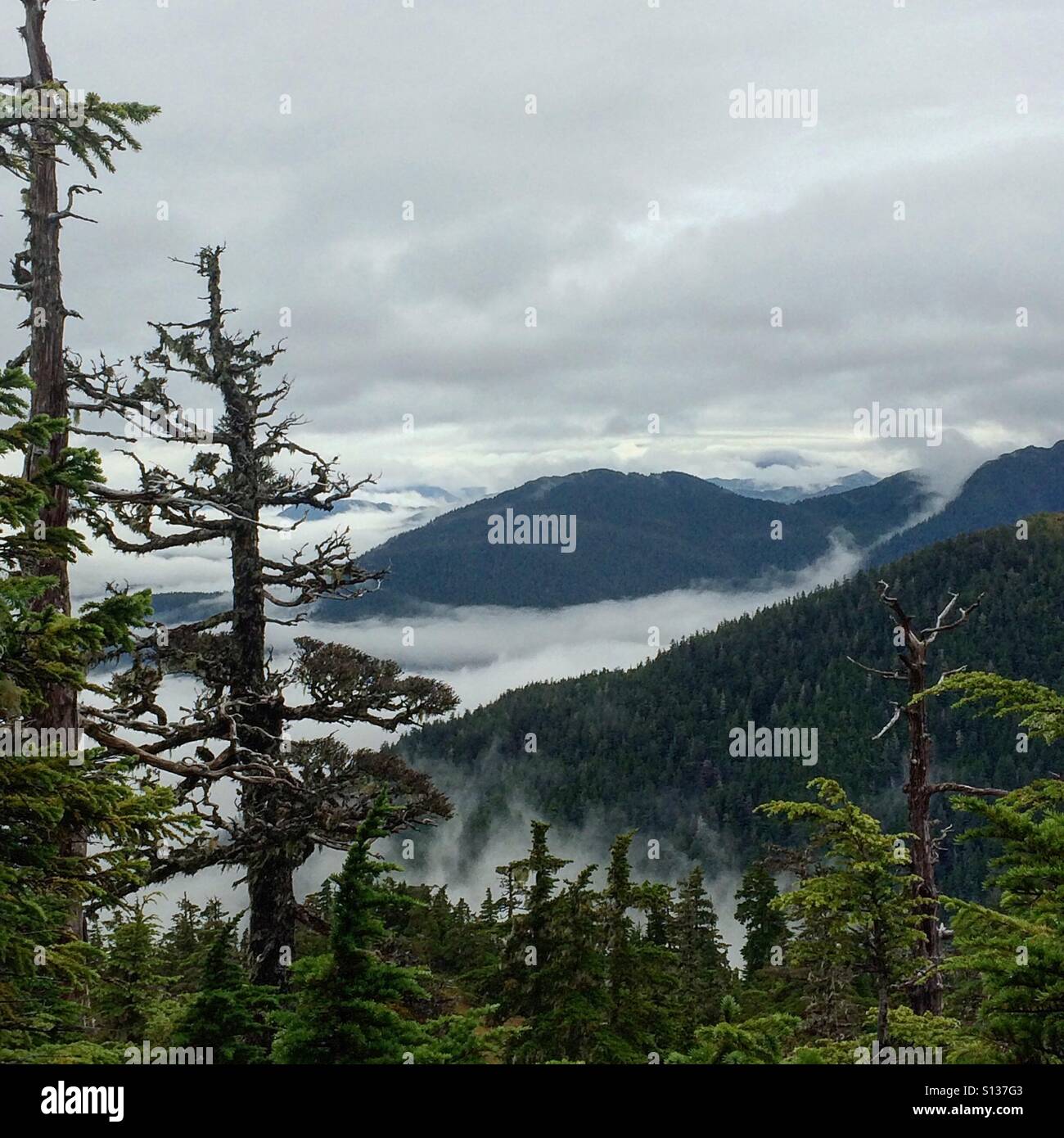 Sitka Alaska Harbor High Resolution Stock Photography and Images - Alamy