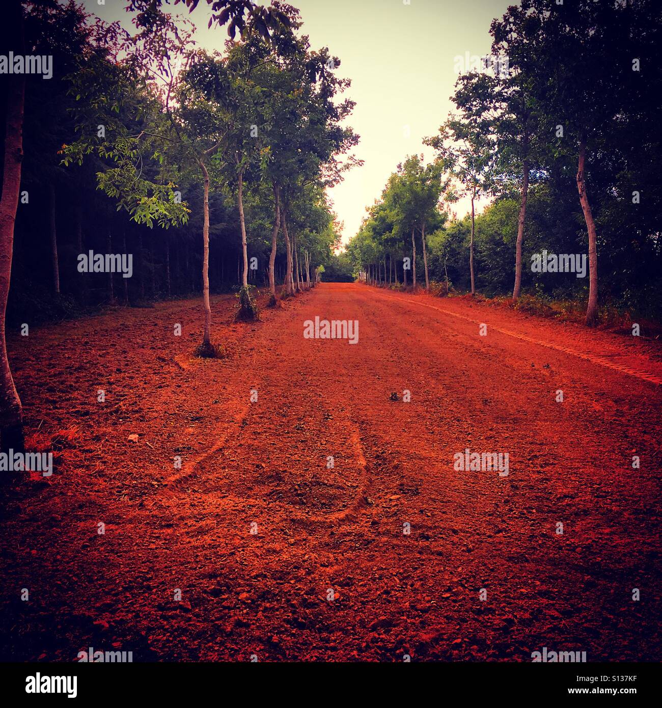 Best of earth hi-res stock photography and images - Alamy