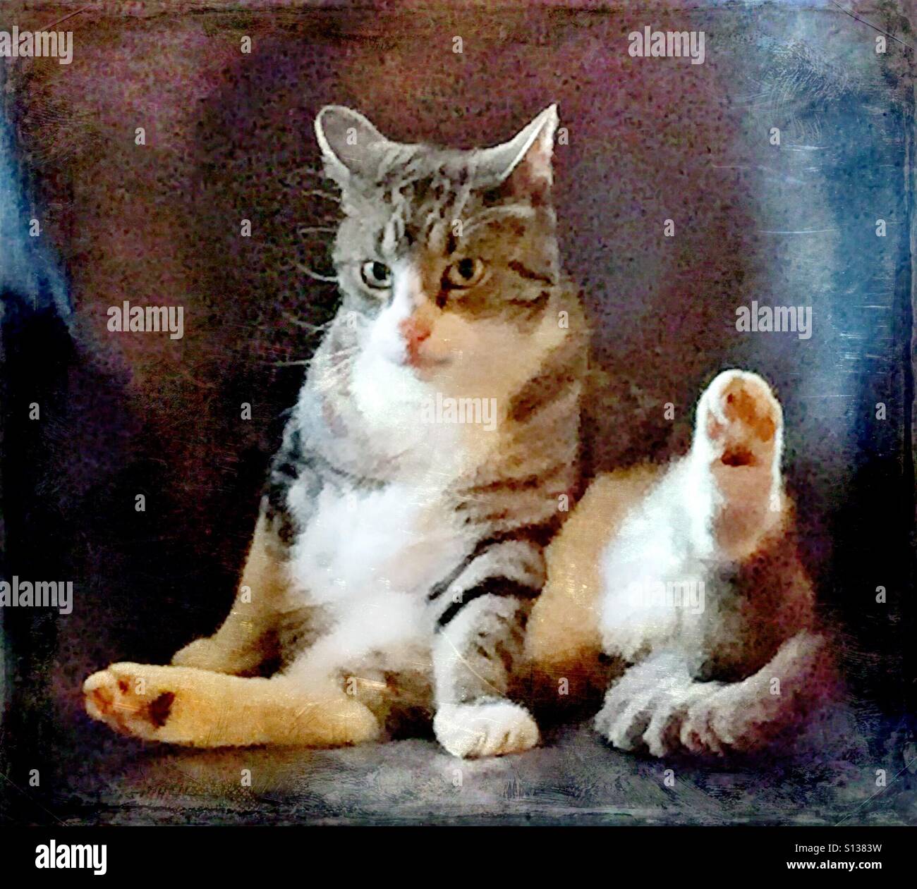 I forgot my hi-res stock photography and images - Alamy