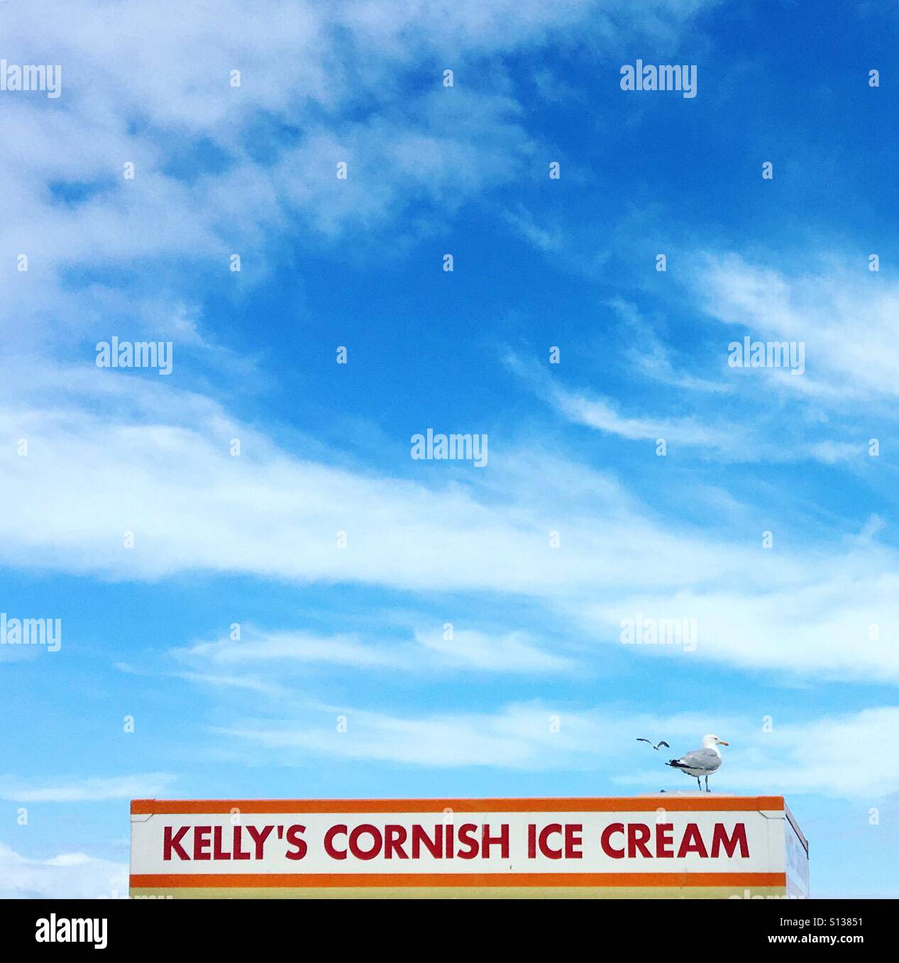 Seagull Ice Cream High Resolution Stock Photography and Images - Alamy