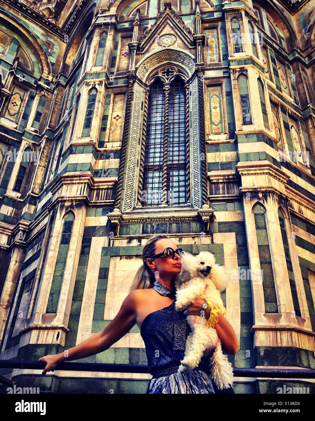 White toy poodle hi-res stock photography and images - Alamy