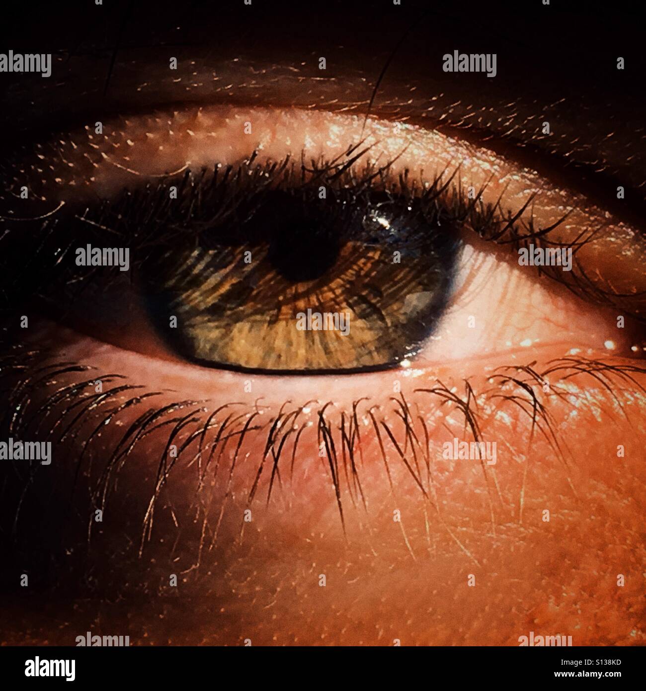Clear eyelid hi-res stock photography and images - Alamy
