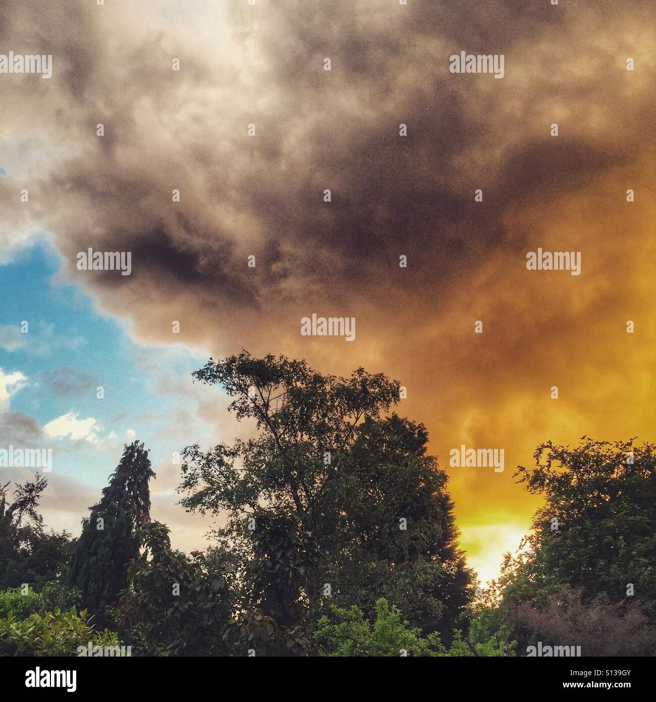 Summer storm clouds Stock Photo - Alamy