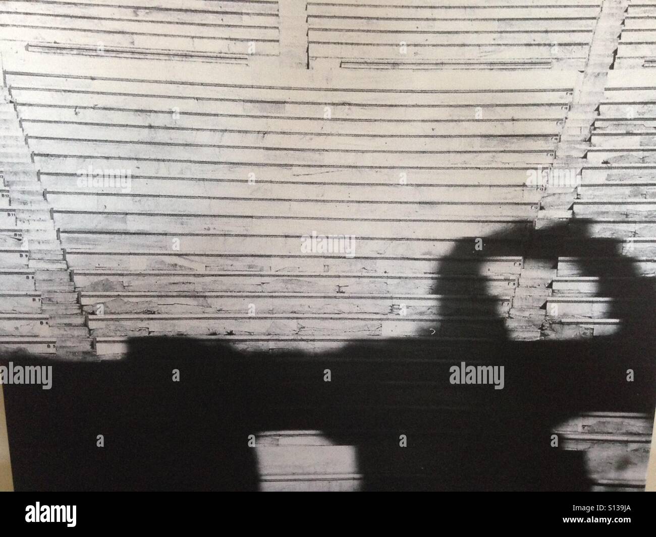 Shadow spectators hi-res stock photography and images - Alamy