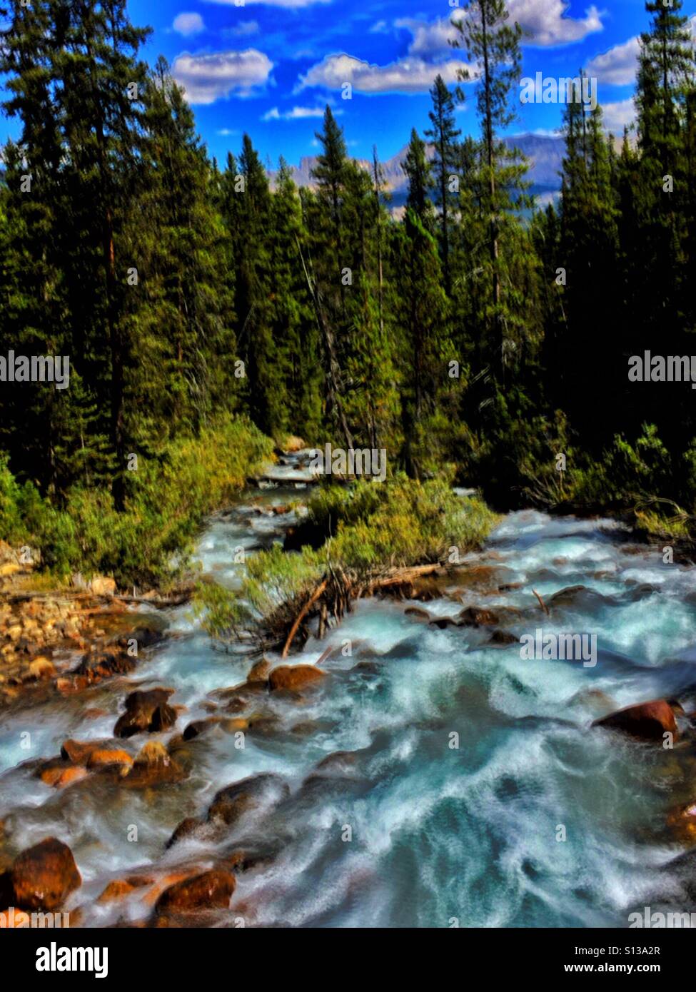Paradise Creek in Banff National Park, Alberta, Canada Stock Photo - Alamy