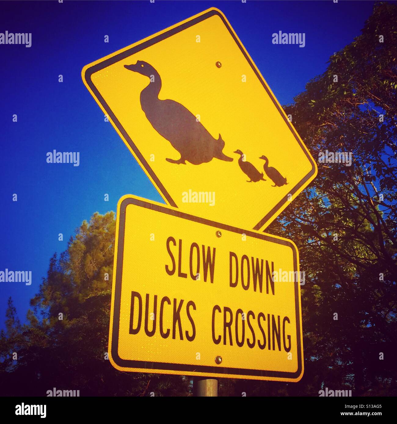 Do not feed the ducks sign hi-res stock photography and images - Alamy