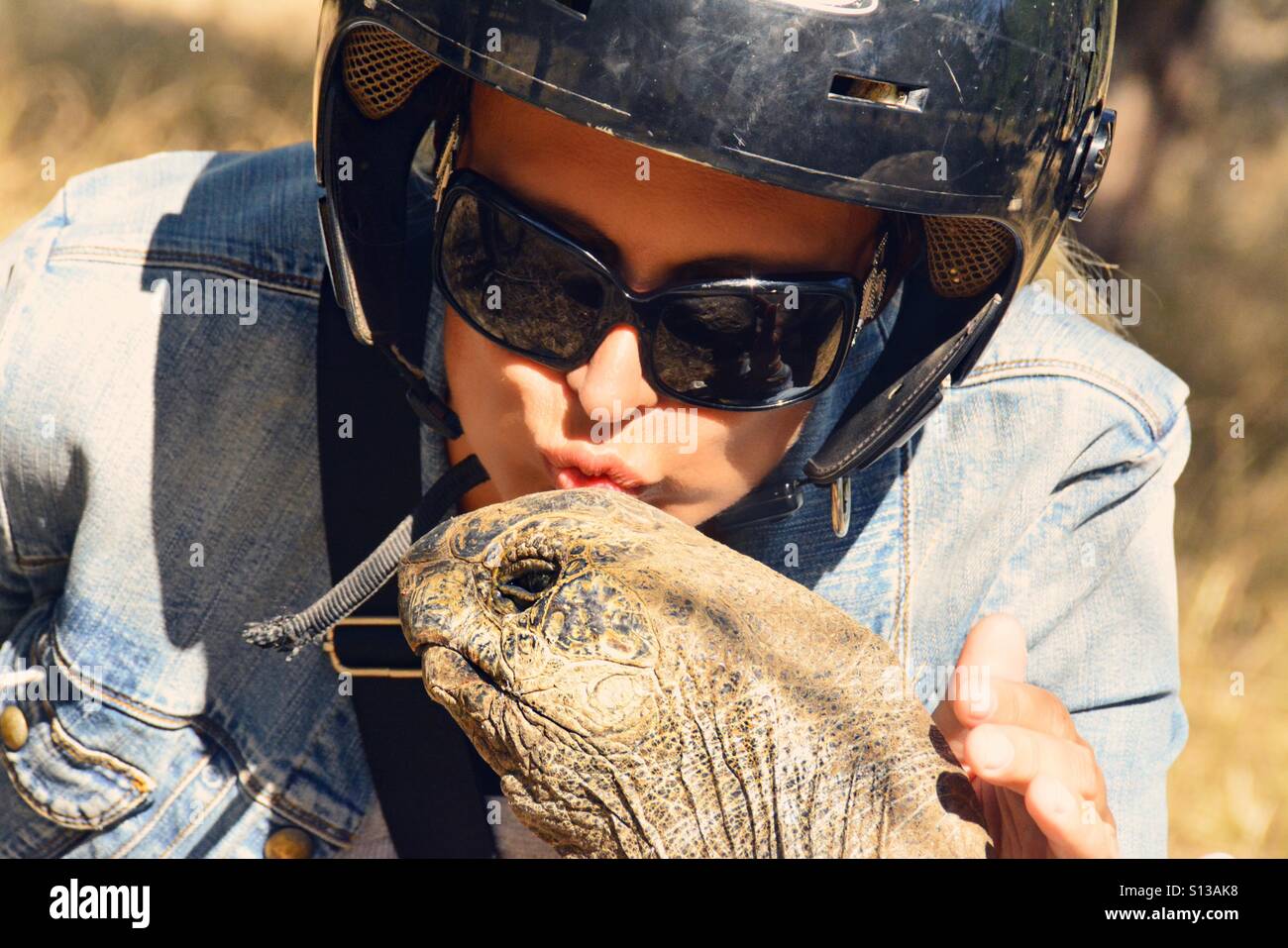 Turtle safari hi-res stock photography and images - Alamy