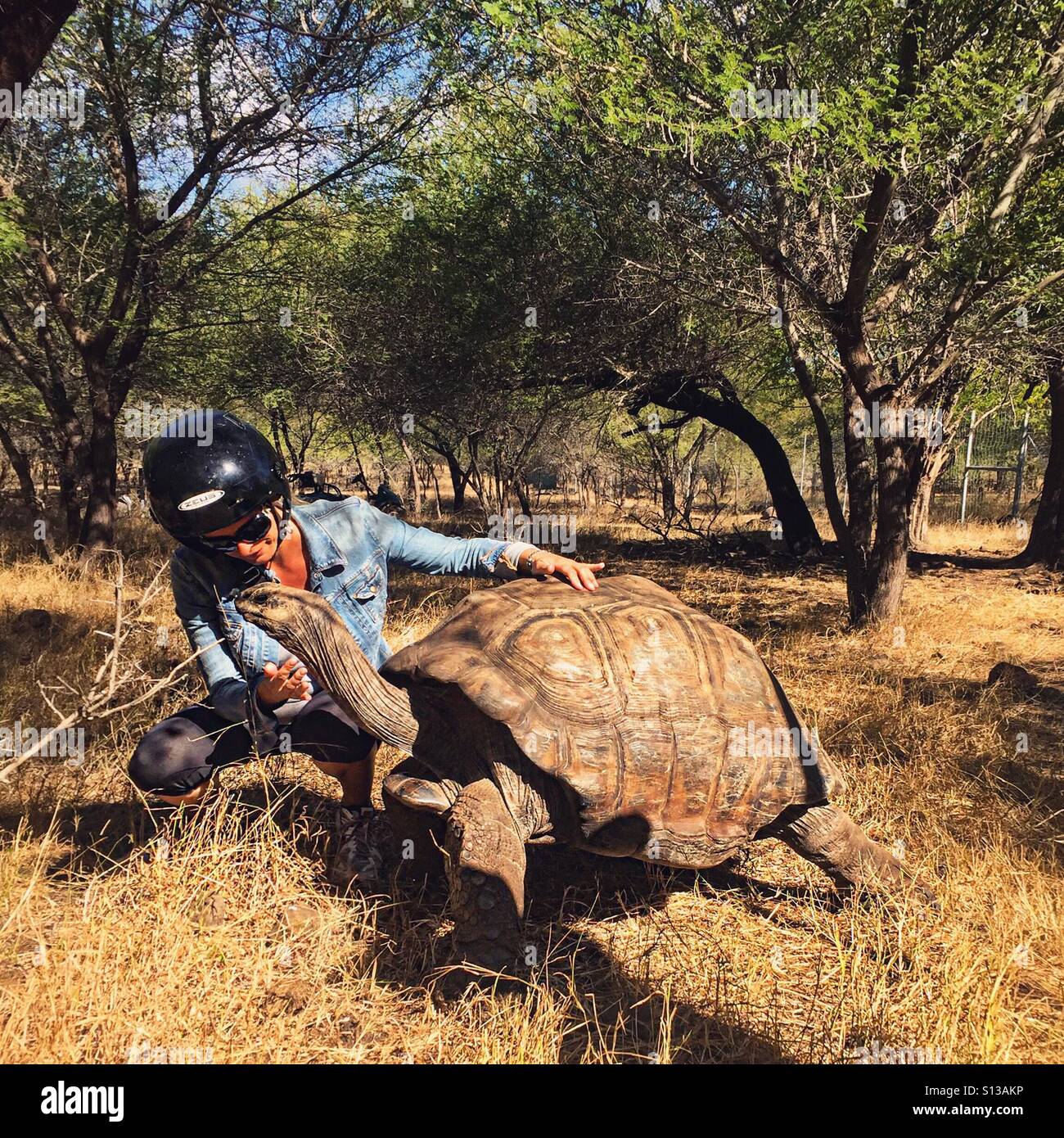 Turtle giant hi-res stock photography and images - Alamy