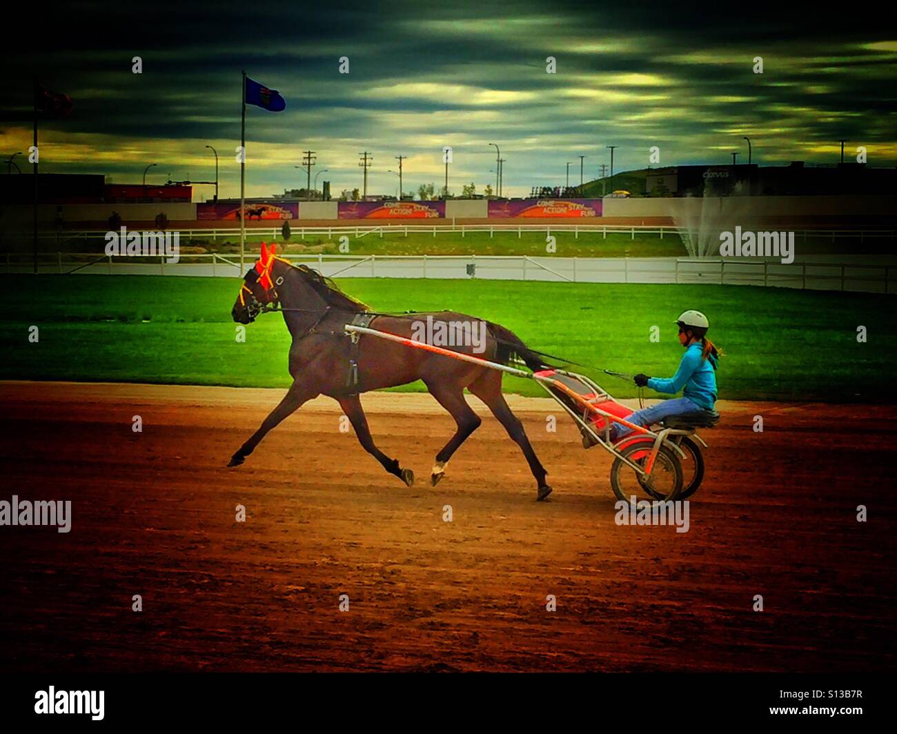 Sulky cart hi-res stock photography and images - Alamy