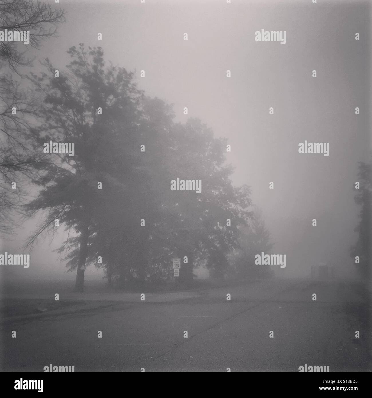 Eerie tree hi-res stock photography and images - Alamy