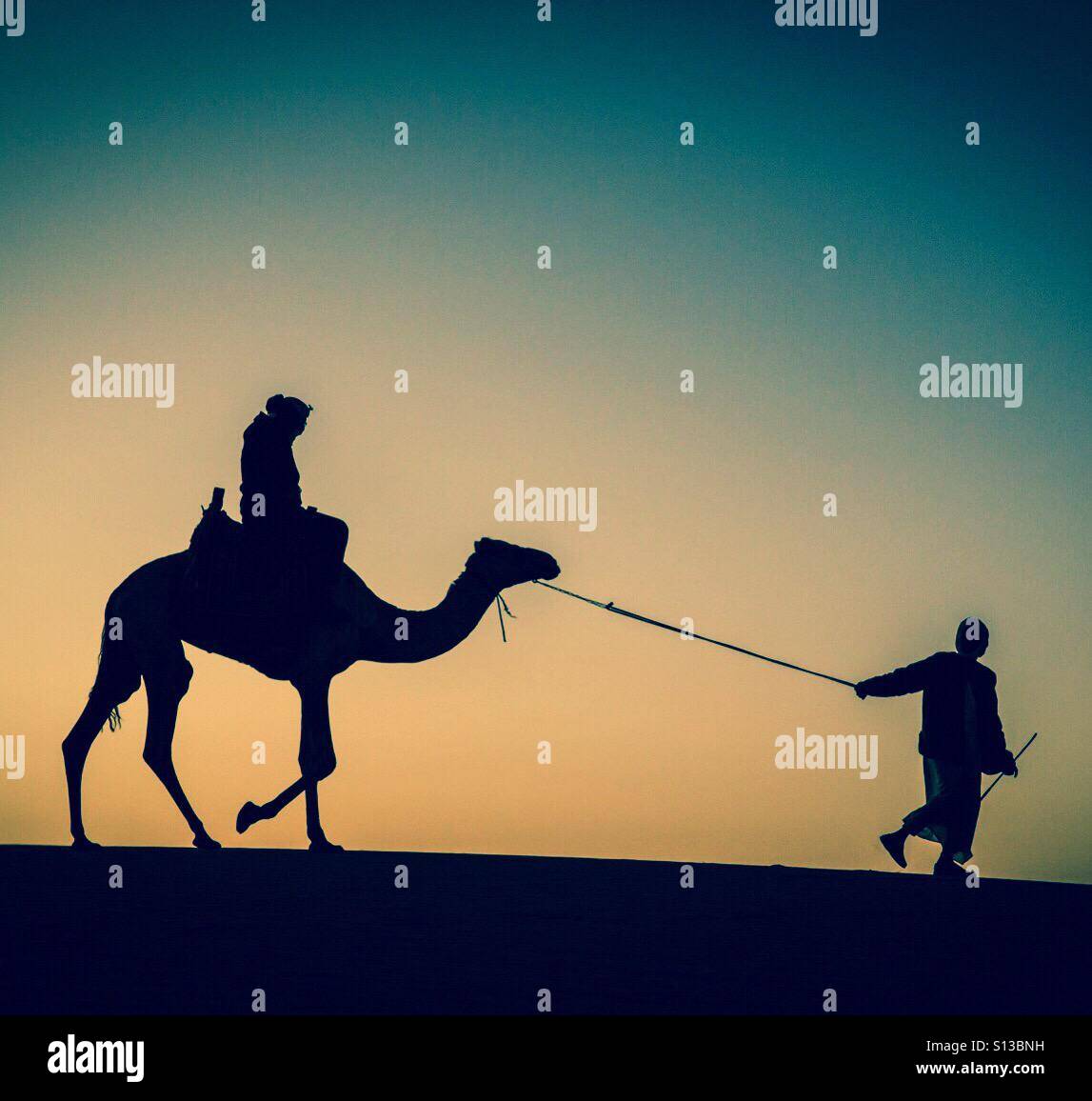 Camel ride caravan hi-res stock photography and images - Alamy