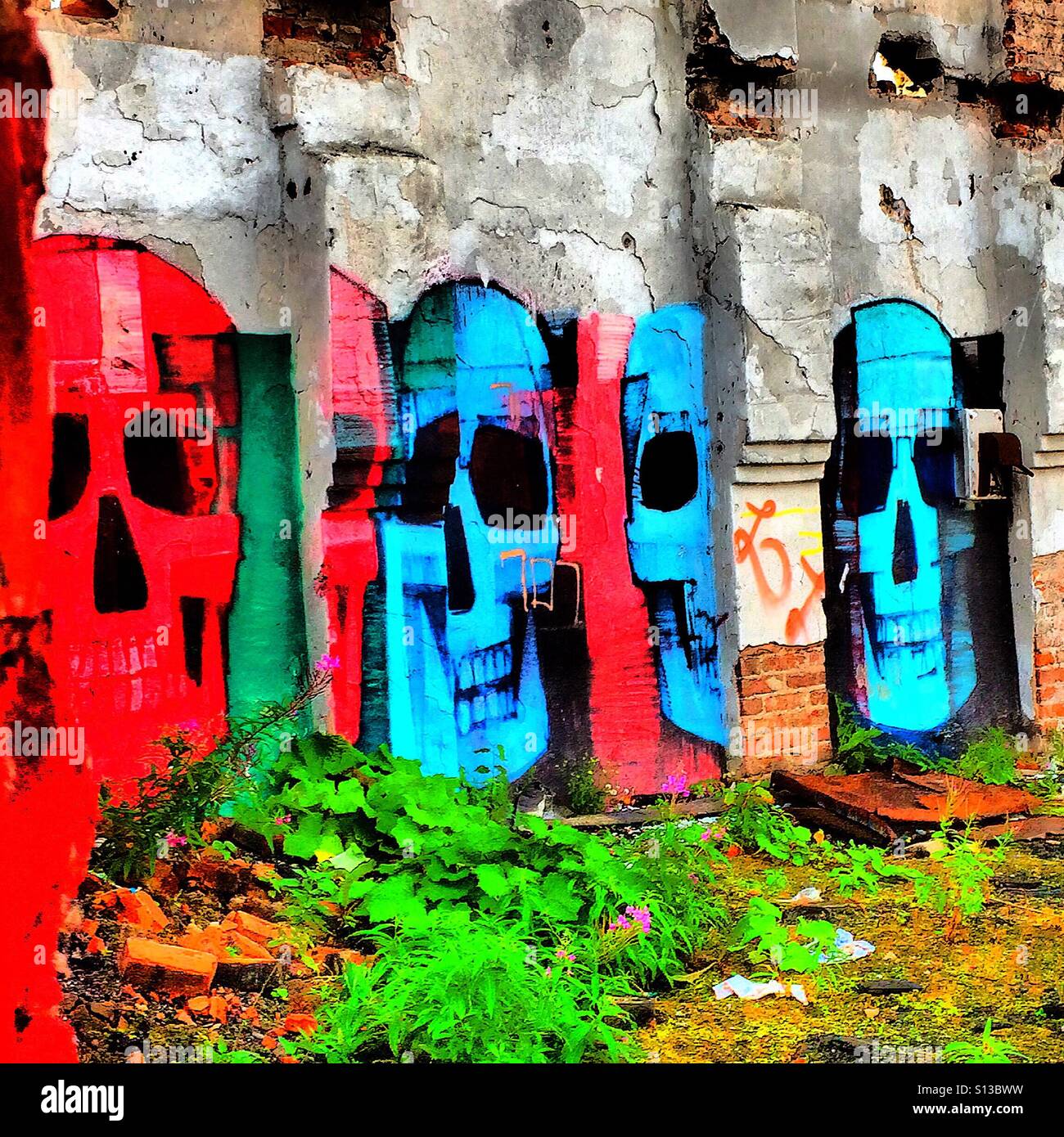 Exposed skulls hi-res stock photography and images - Alamy