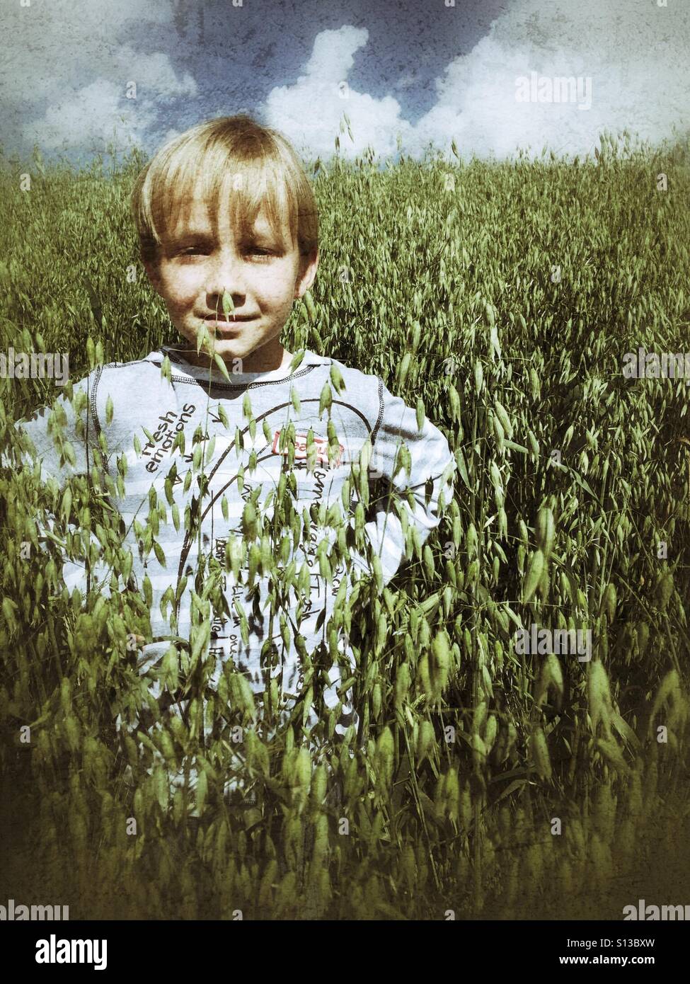 A boy stands in a field of tall oats Stock Photo - Alamy