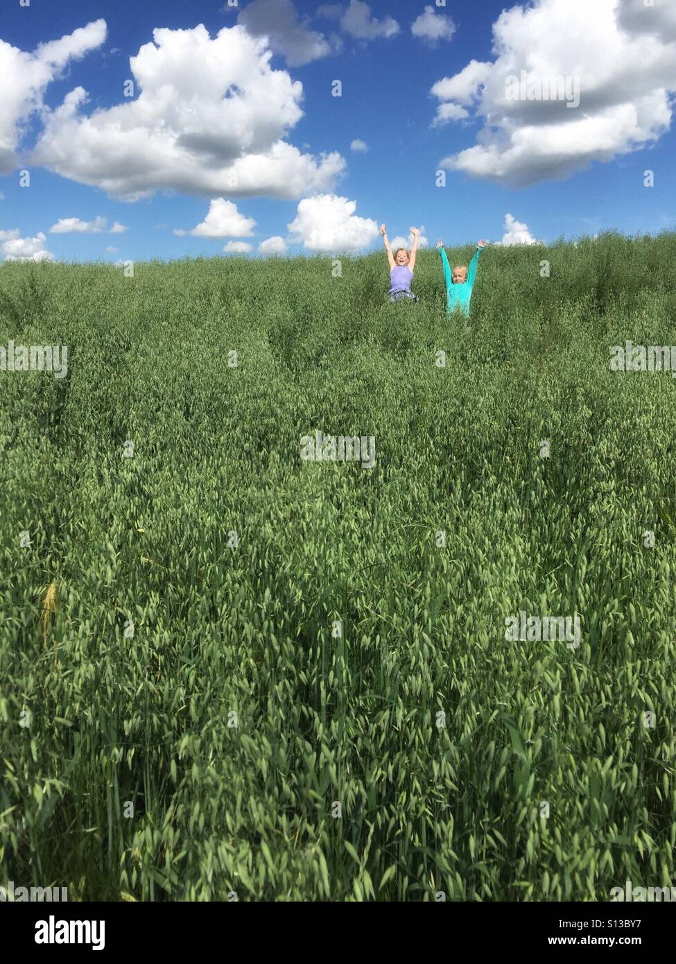 Two girls leap high in a deep field of oats on a sunny day Stock Photo ...