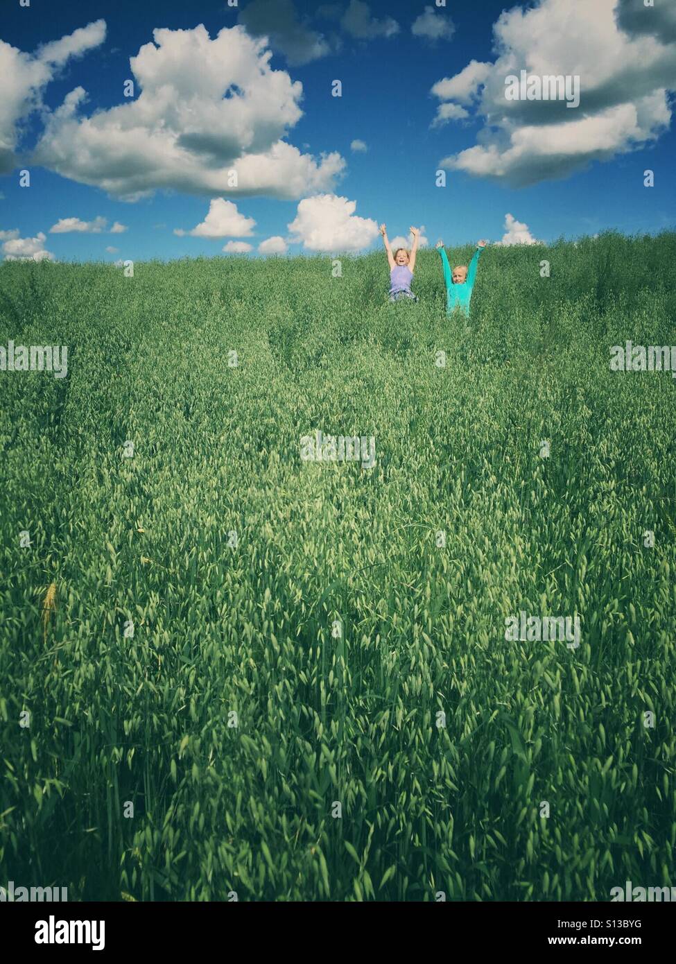 In a large field of oats, two distant children leap Stock Photo - Alamy