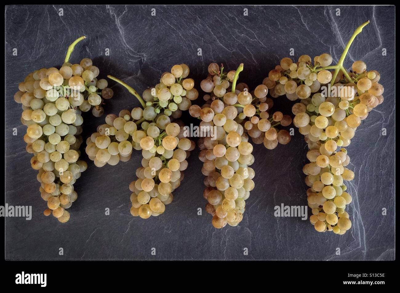 Viognier Grape Stock Photos & Viognier Grape Stock Images - Alamy