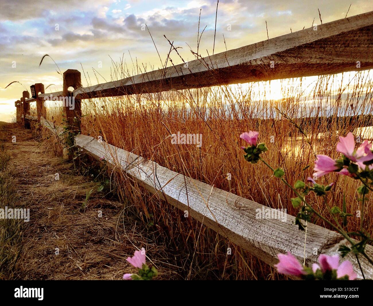 Country fence hi-res stock photography and images - Alamy