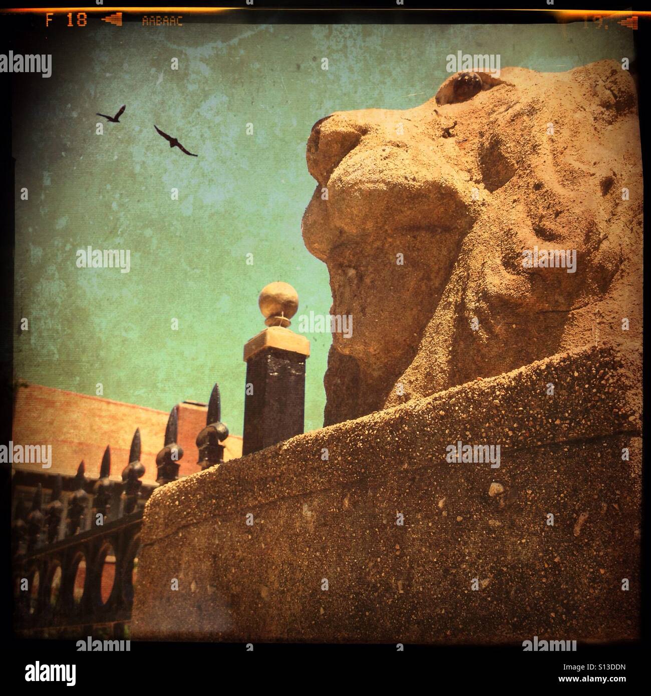 Lion Head Sculpture High Resolution Stock Photography and Images - Alamy