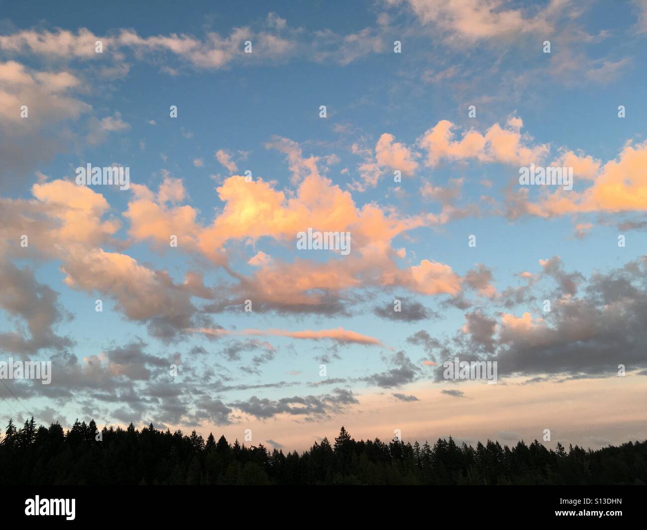 Over treetops hi-res stock photography and images - Alamy