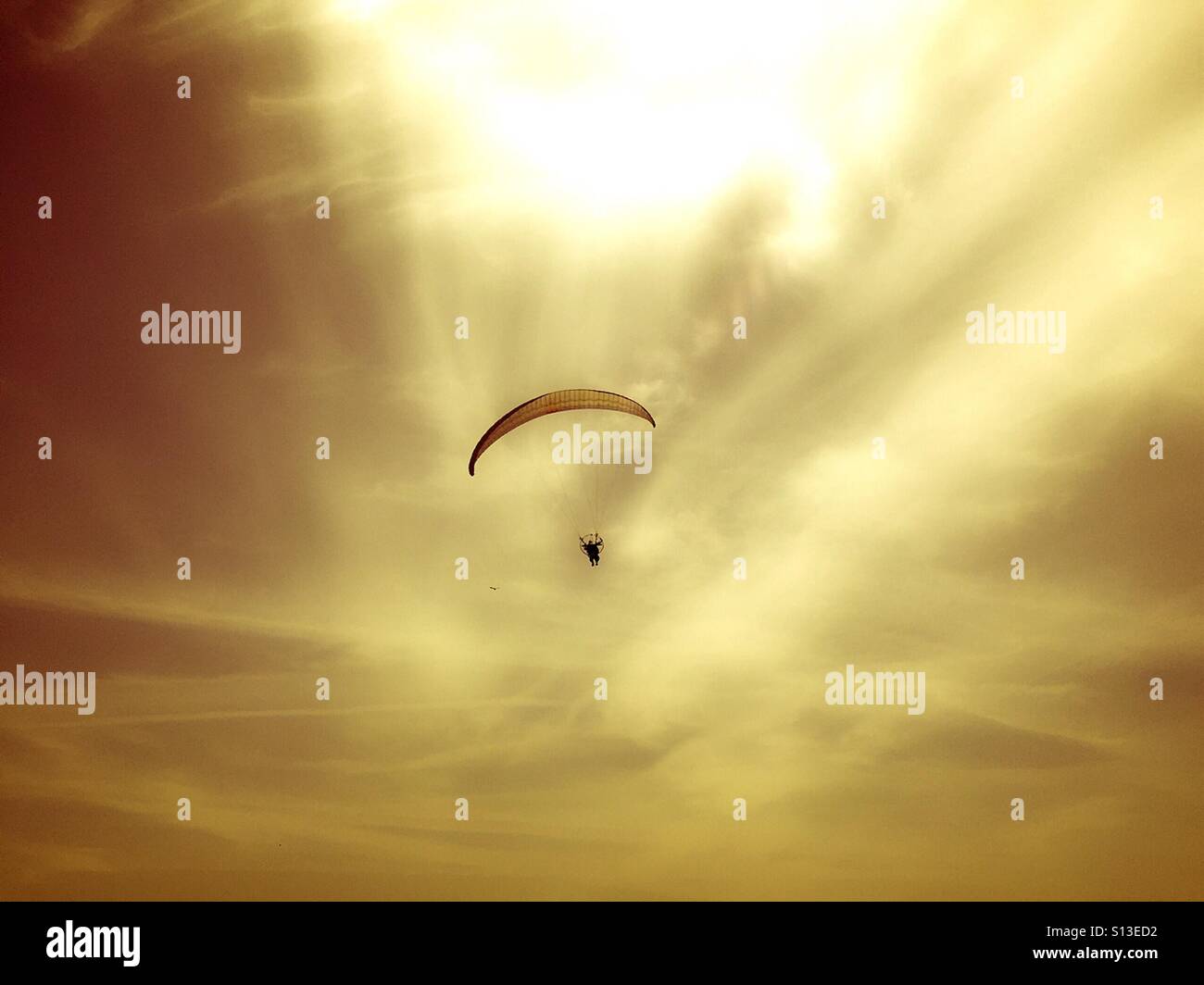 Flying up in the sky Stock Photo - Alamy