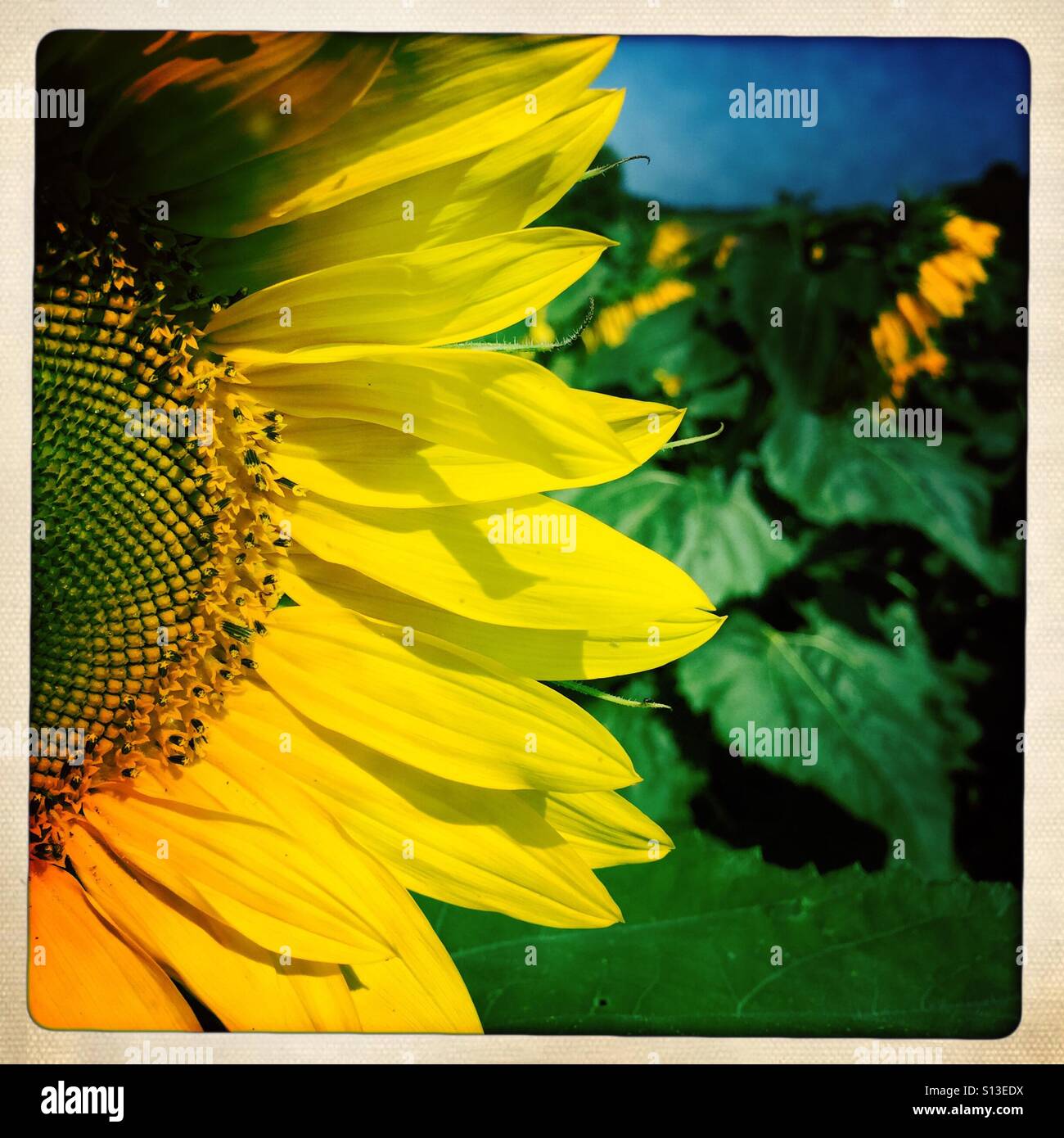 Partly sunny hi-res stock photography and images - Alamy