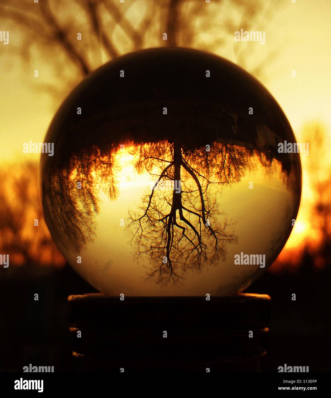 Ball tree hi-res stock photography and images - Alamy