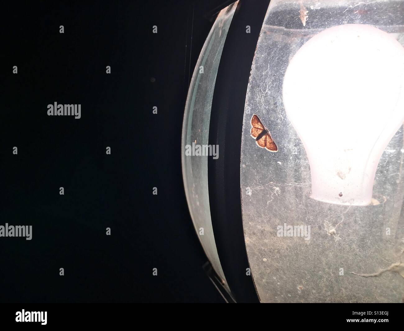 Moth light bulb hi-res stock photography and images - Alamy
