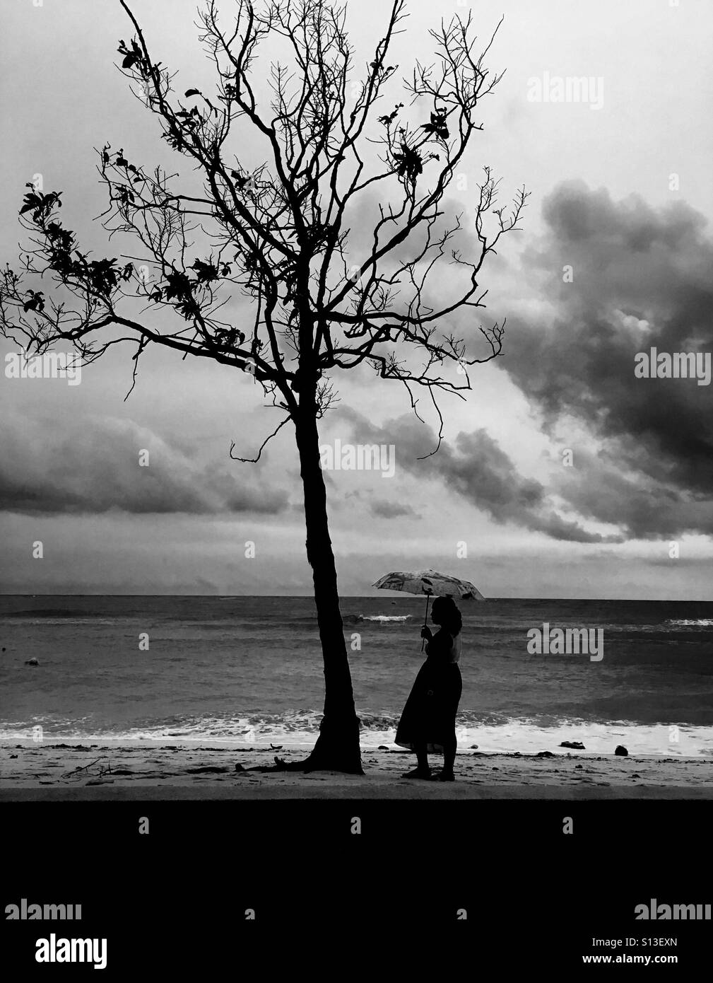 Umbrella on the tree hi-res stock photography and images - Alamy