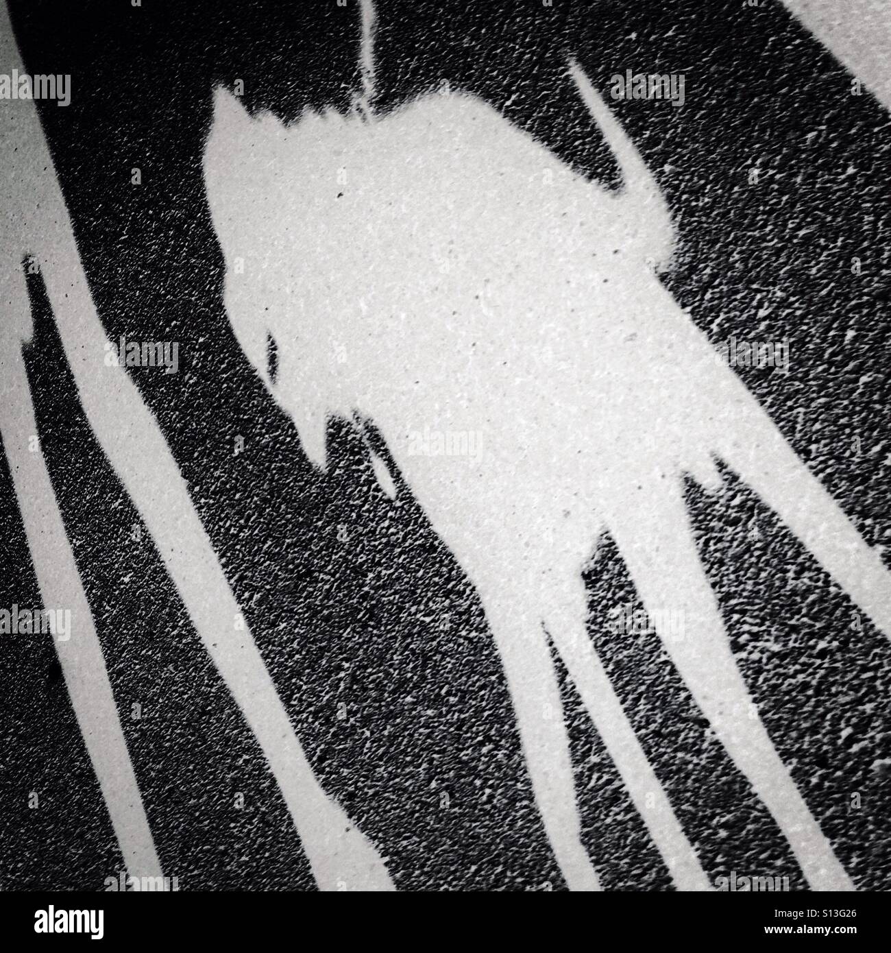 Shadows on a dog walk hi-res stock photography and images - Alamy