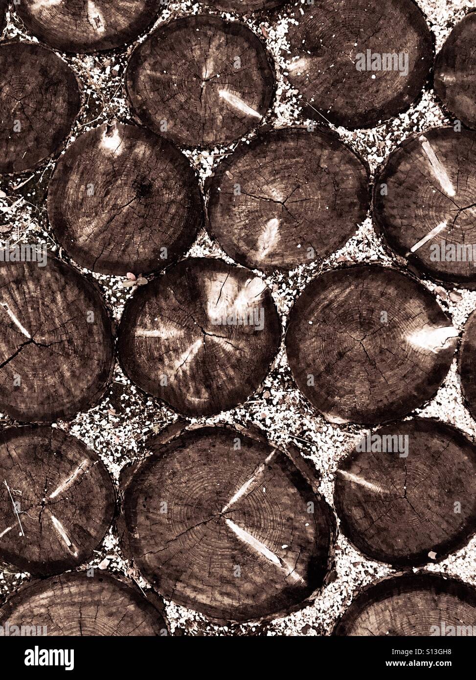 Ring path hi-res stock photography and images - Alamy