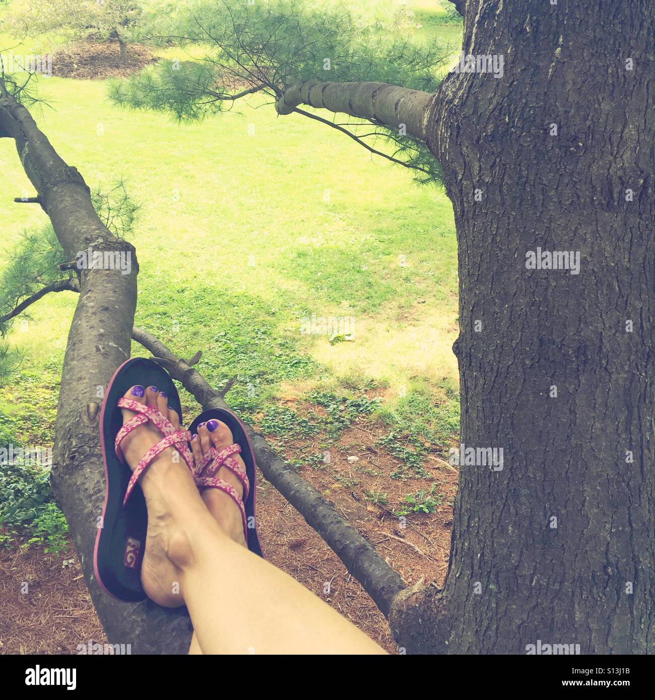 Womens feet hi-res stock photography and images - Alamy