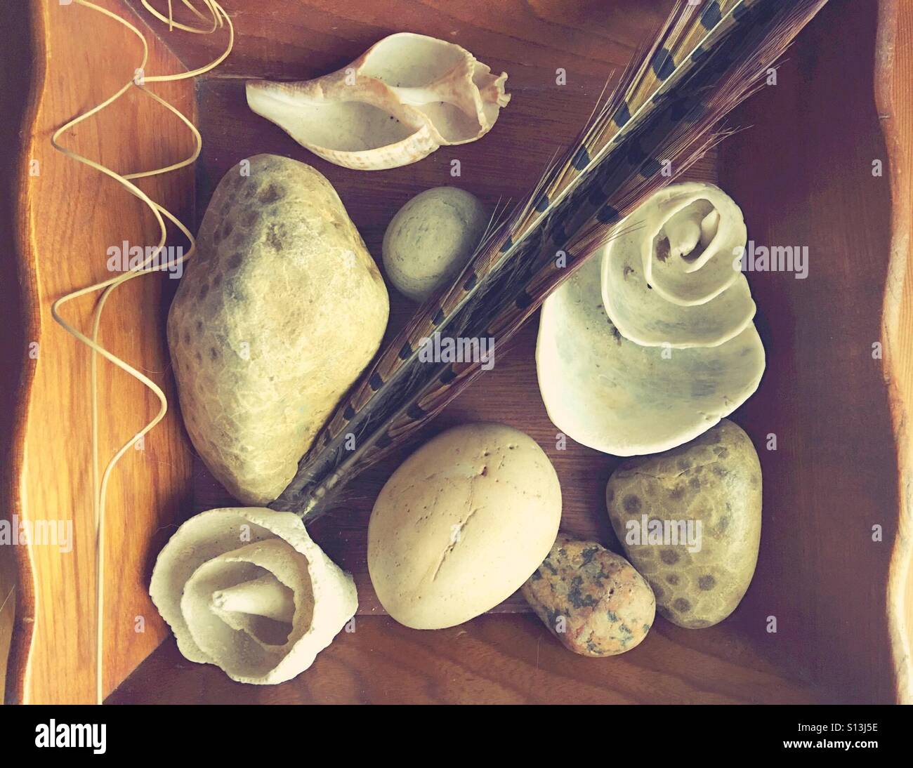 Box of shells hi-res stock photography and images - Alamy