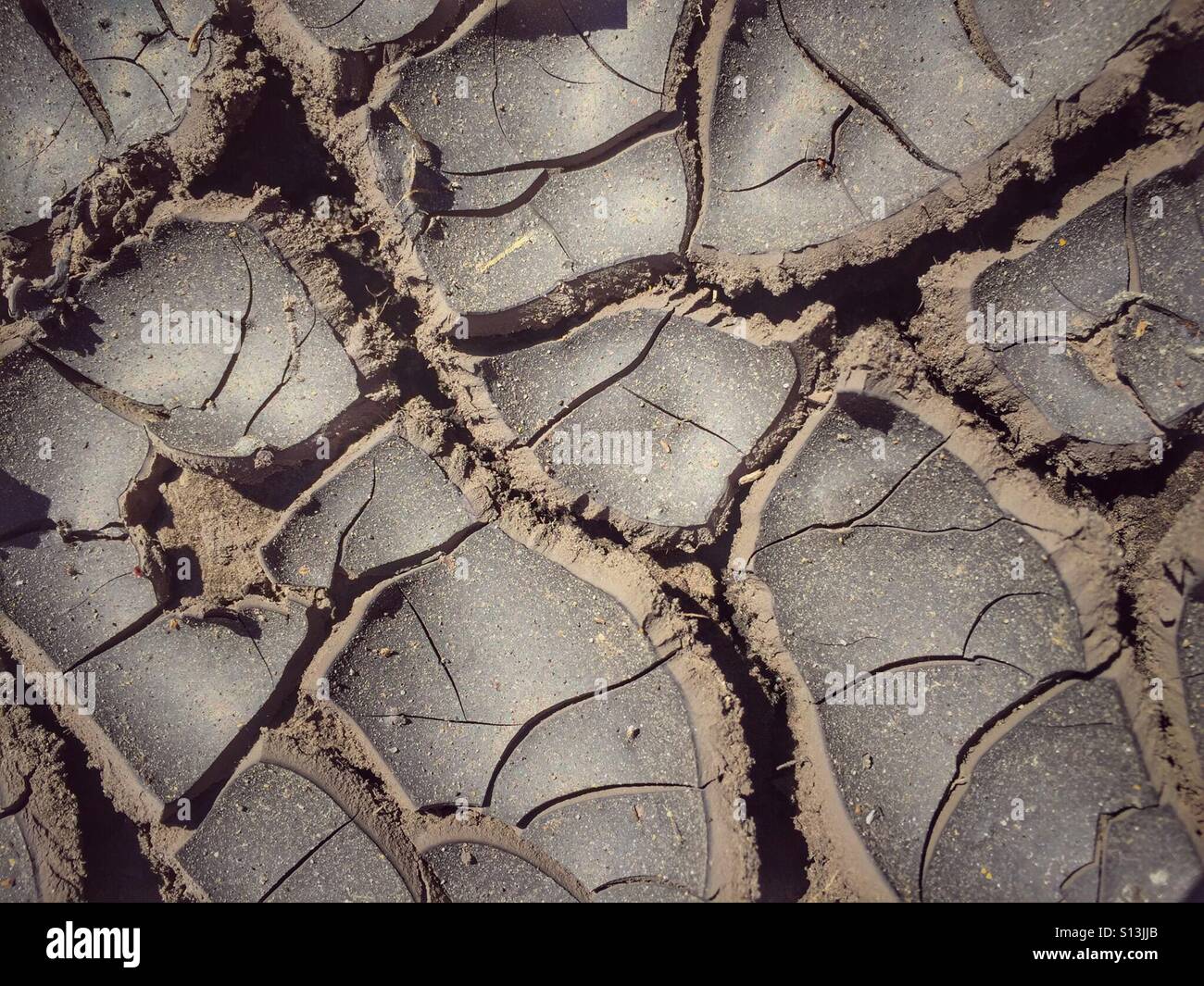Deep mud dried and cracked in the sun Stock Photo - Alamy