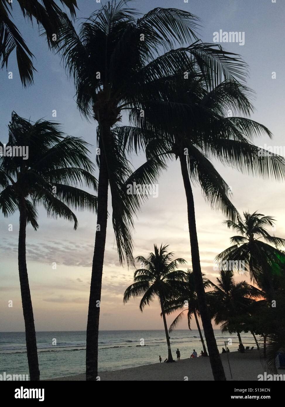 Barbados at night hi-res stock photography and images - Alamy