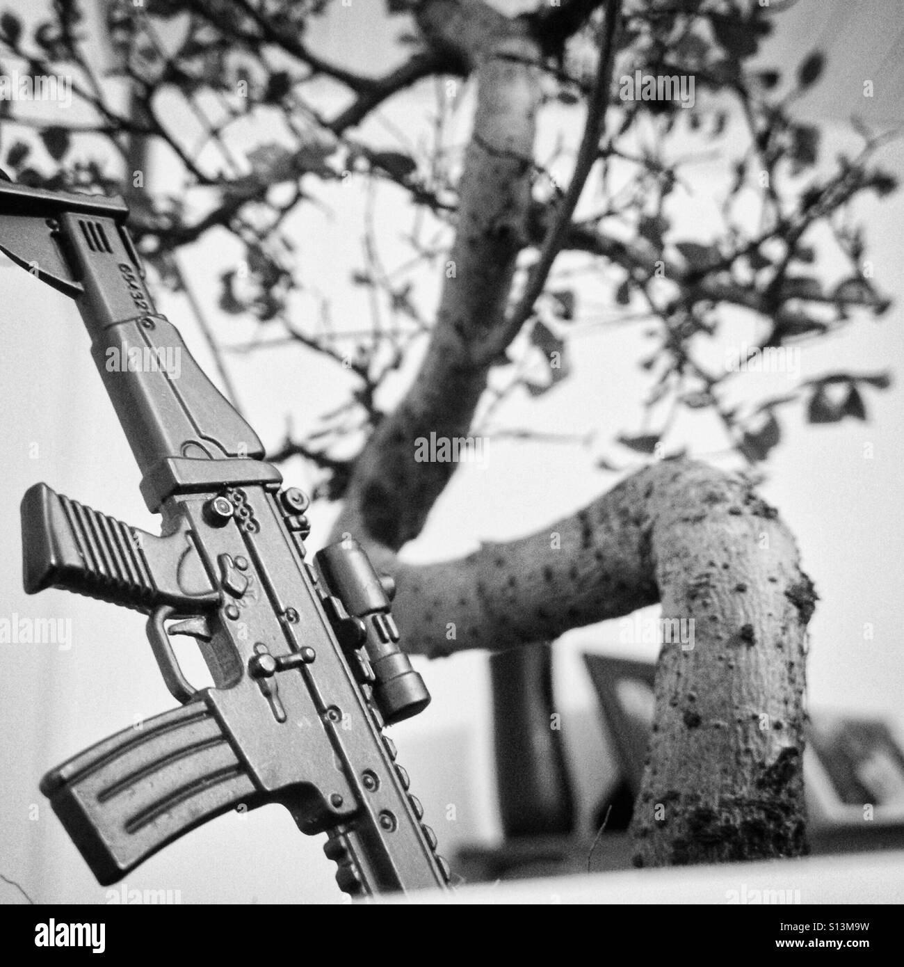 Bonsai and rifle Stock Photo - Alamy