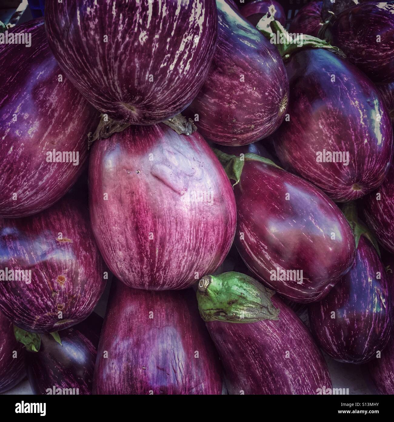Eggplant, also known as Aubergine Stock Photo - Alamy