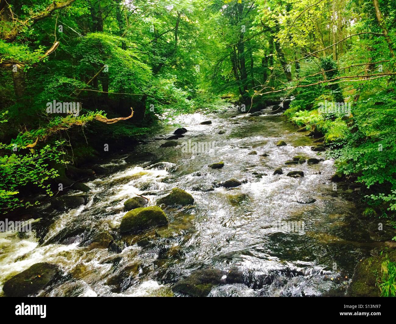 Fresh river hi-res stock photography and images - Alamy