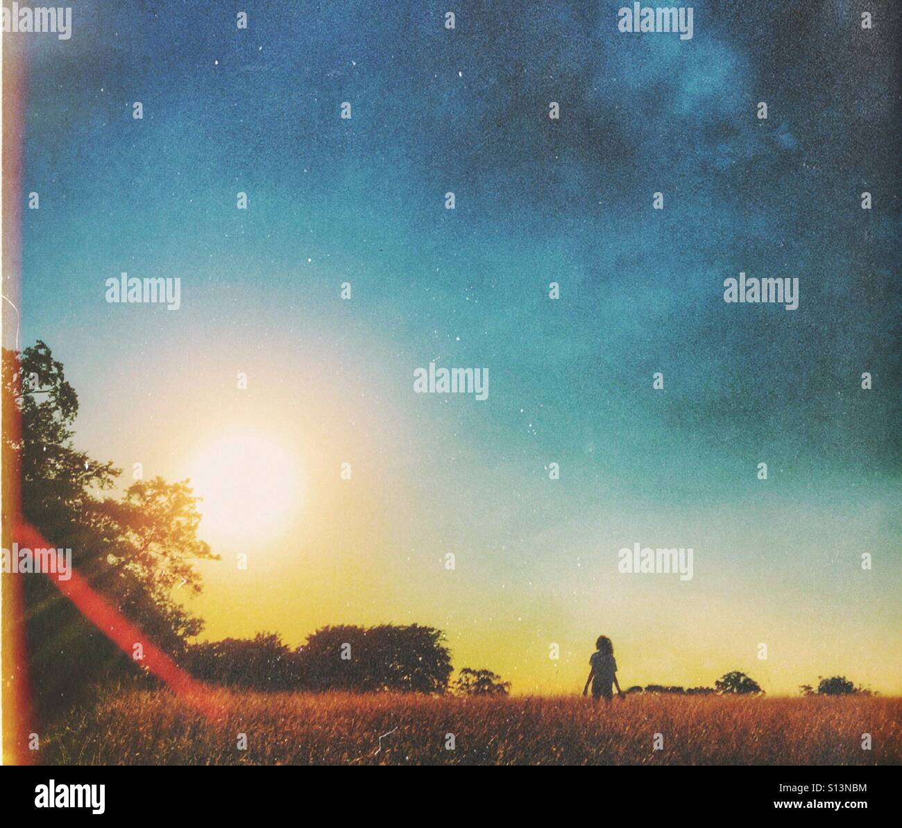 Young girl standing in a field late evening with a low sun Stock Photo ...