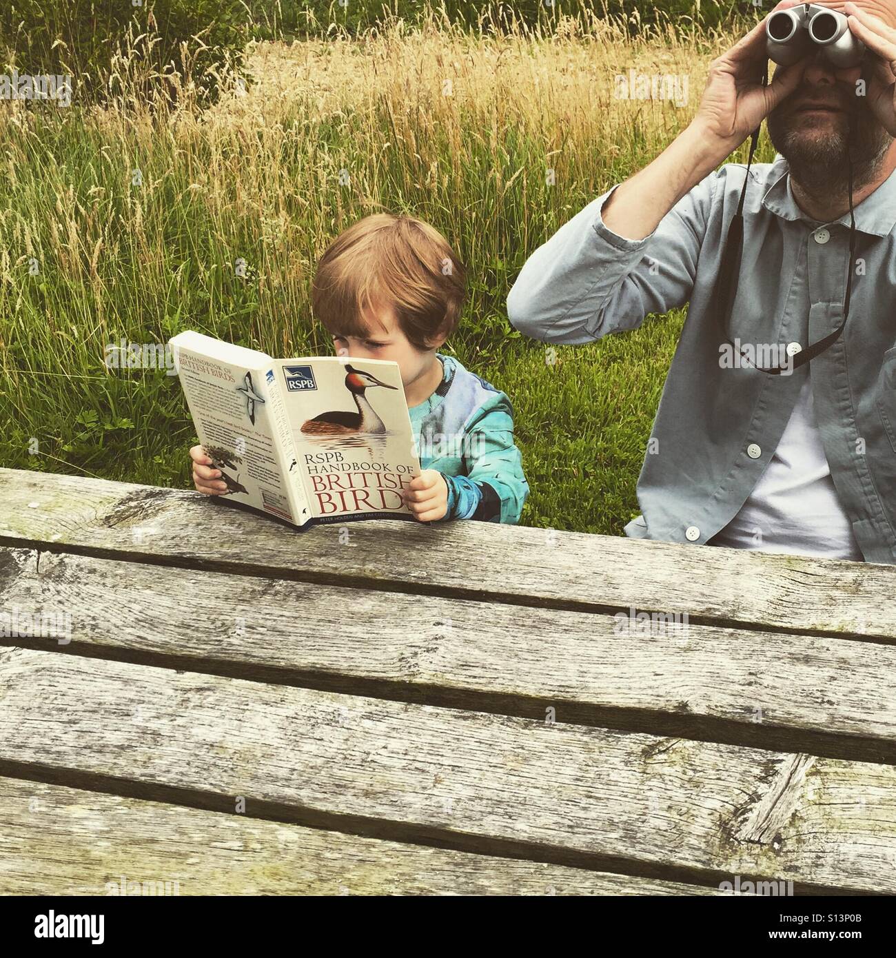 Father teaching child about birds hi-res stock photography and images ...