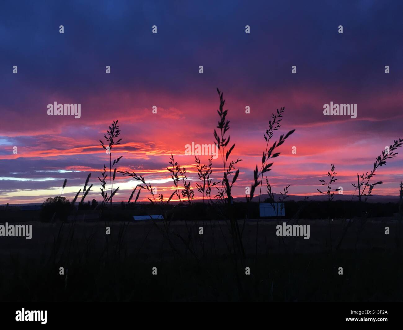 Prairie grass sunset hi-res stock photography and images - Alamy
