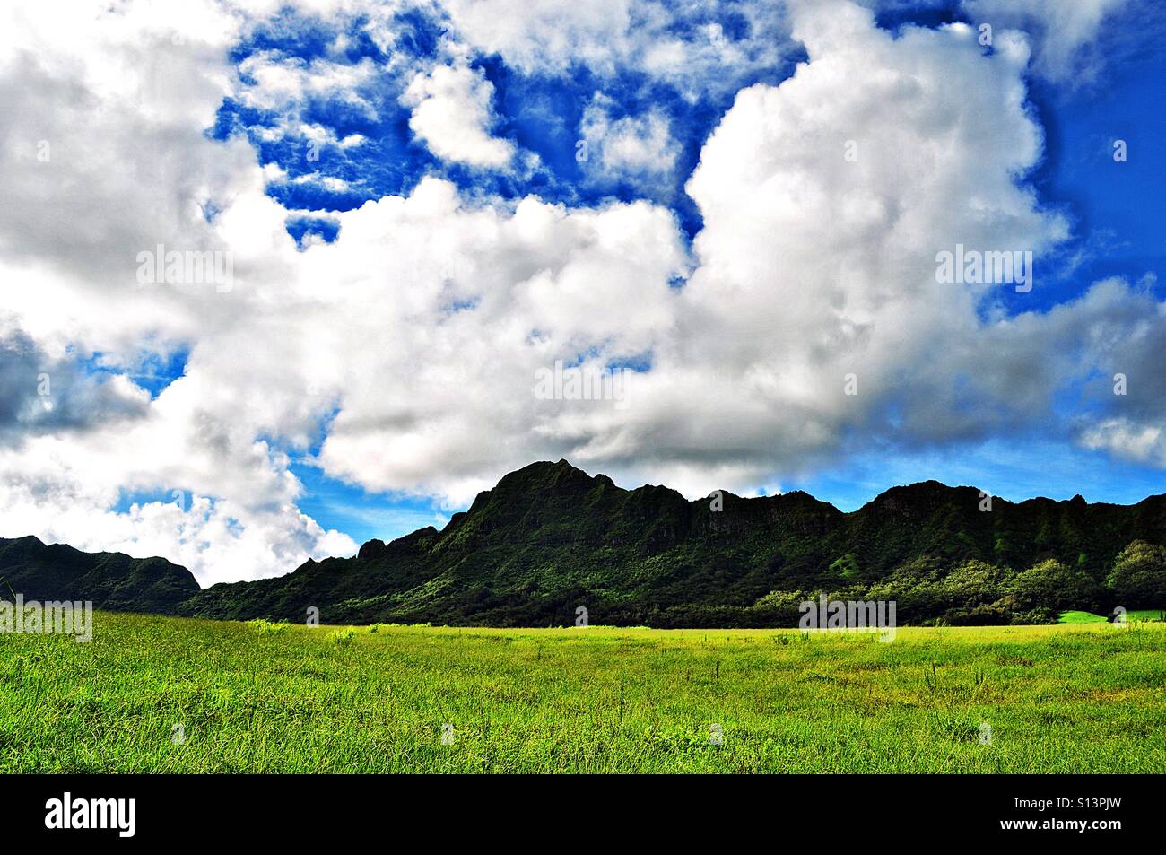 Robinson Ranch Kauai
