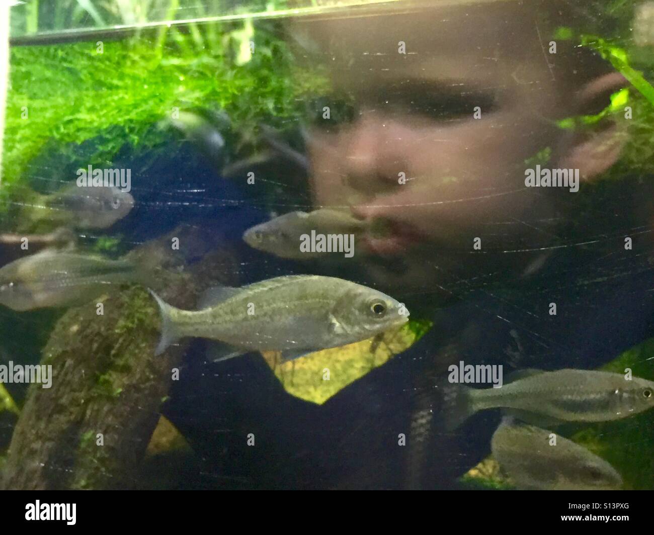 Baby reflection hi-res stock photography and images - Alamy