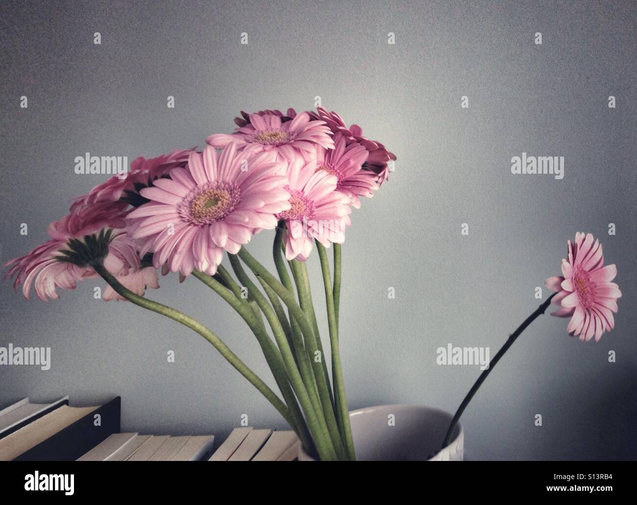 Rebel flower hi-res stock photography and images - Alamy