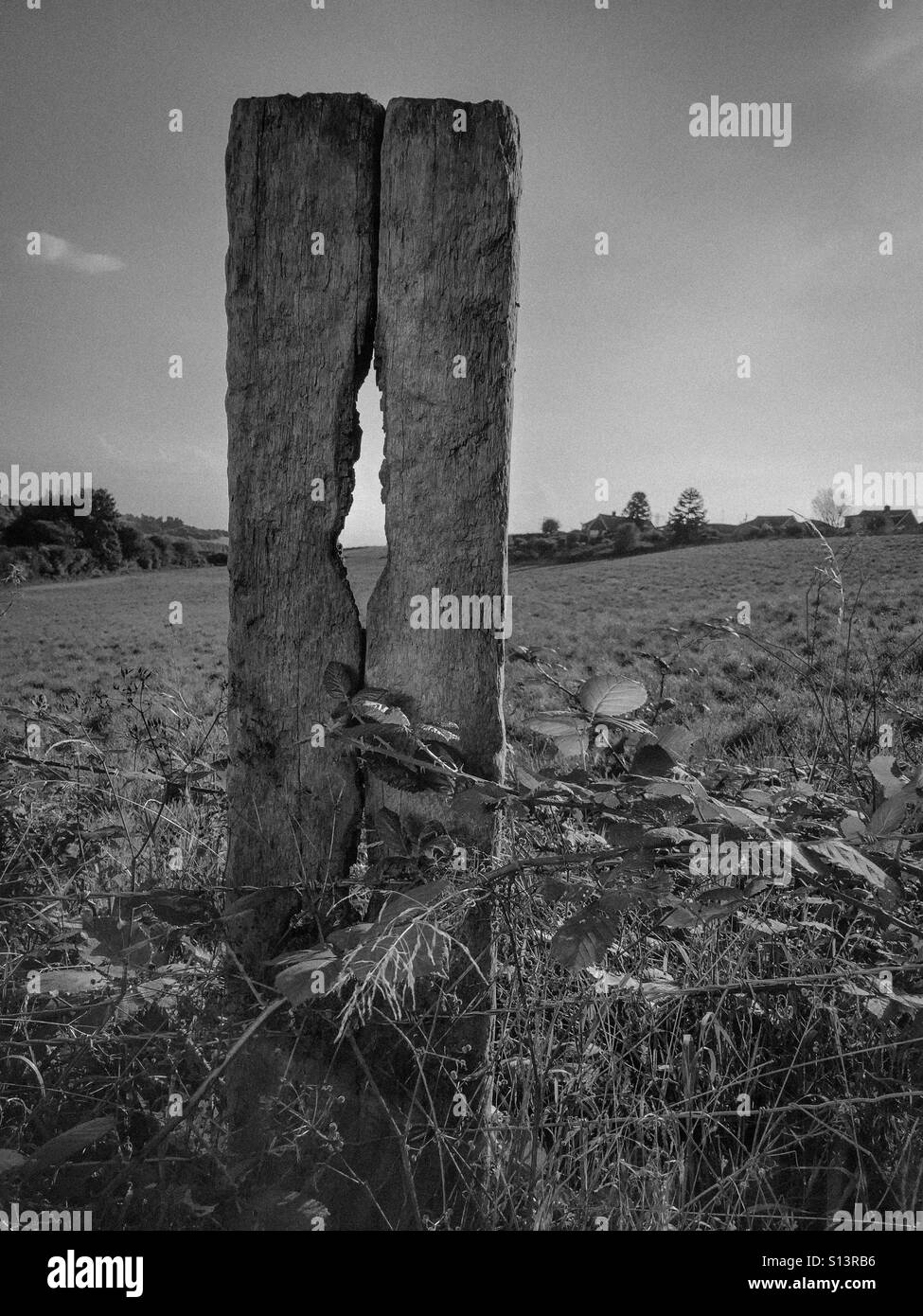 Very weathered wooden fence post. British farmland in background Stock ...