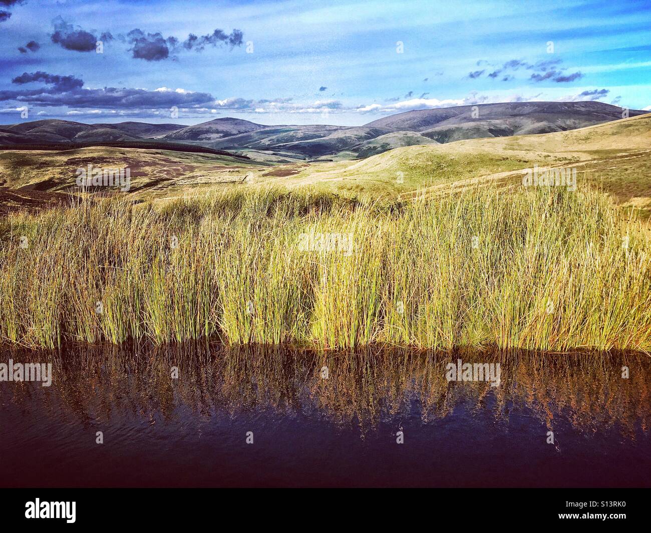 Cheviot Hill High Resolution Stock Photography and Images - Alamy