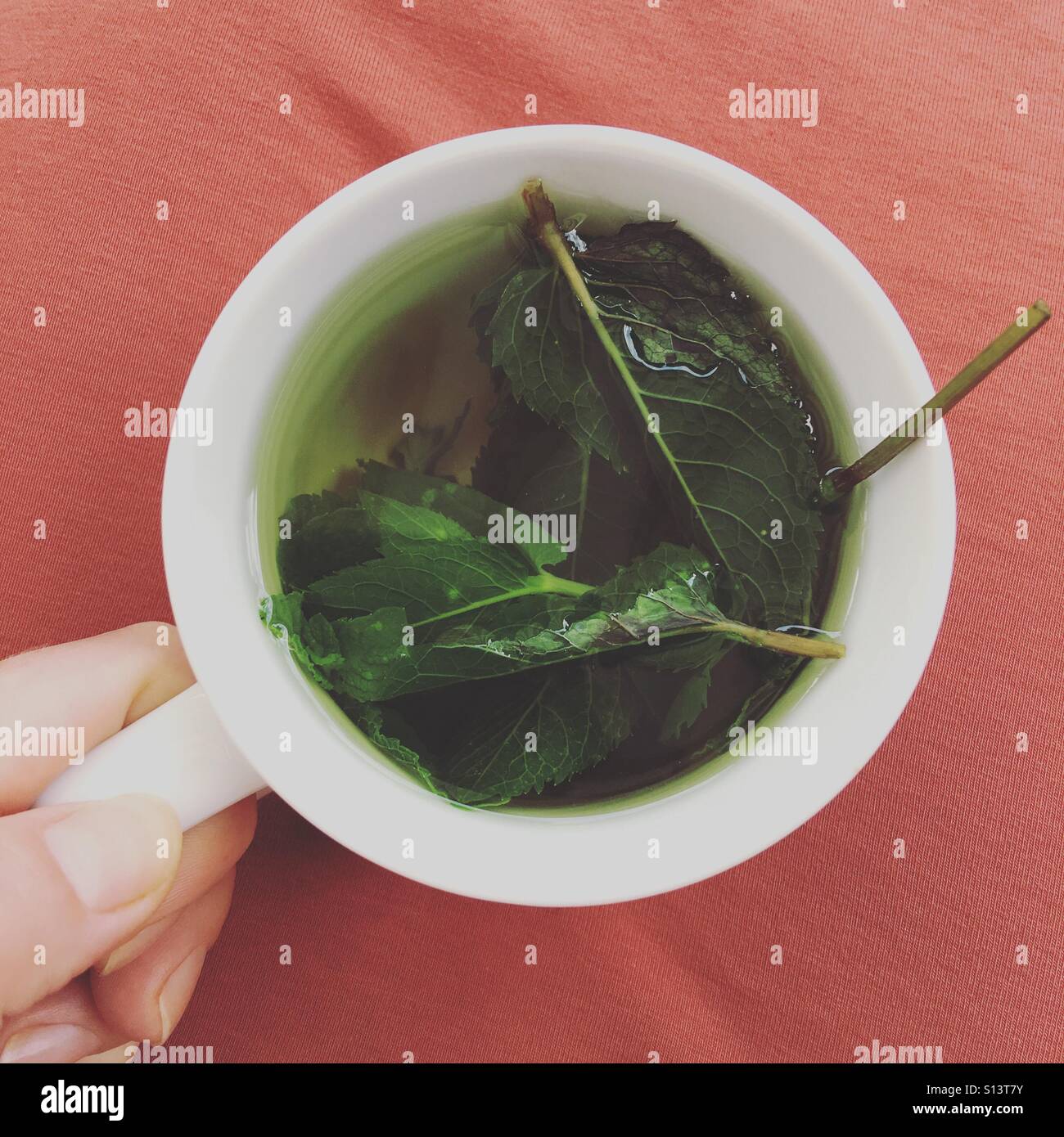 Fresh mint tea hi-res stock photography and images - Alamy